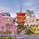 10 Hour Private Customizable Tour to Kyoto from Osaka - Who Will Love This Tour?
