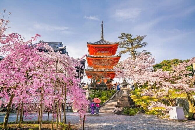 10 Hour Private Customizable Tour to Kyoto from Osaka - Who Will Love This Tour?