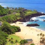 10 Hours Private City Tour in Honolulu - Chartered Tour - Who Will Love This Tour?