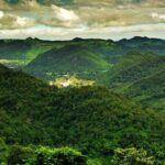 10 Hours Private Hiking in Khao Yai National Park From Bangkok - What Travelers Say