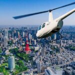 10 minsTokyo Helicopter Tour + Private Car Pickup & Drop off - The Itinerary: Step-by-Step Details