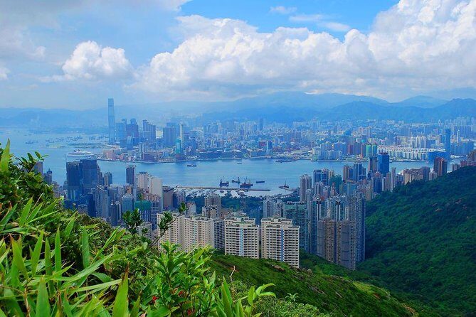 100% Private & Personalised Tour of Hong Kong With A Local Insider - Breakdown of What You Can Expect