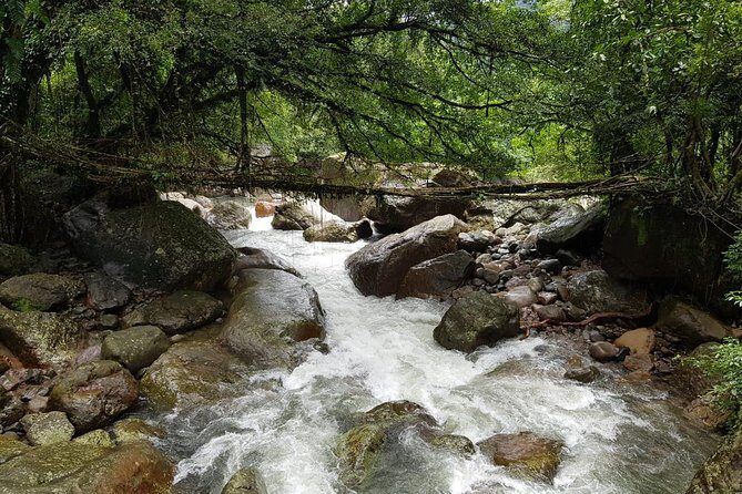 10D/9N Assam-Meghalaya-Arunachal pradesh - Meghalaya’s Hidden Gems: Waterfalls, Canyons, and Living Root Bridges