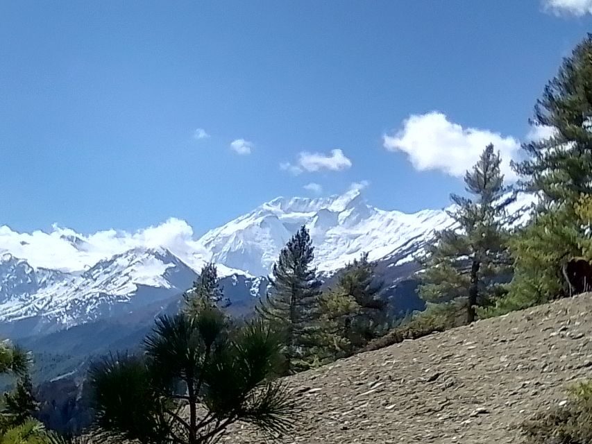 12 Day Annapurna Circuit Trek from Pokhara or Kathmandu - What Travelers Can Expect