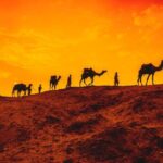 12 Day Classic Rajasthan Tour - Taj Mahal Tigers Lakes & Wildlife - The Itinerary: A Full Breakdown