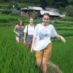 12 Day Cross Vietnam and Siem Reap Tour - What Makes This Tour Stand Out?