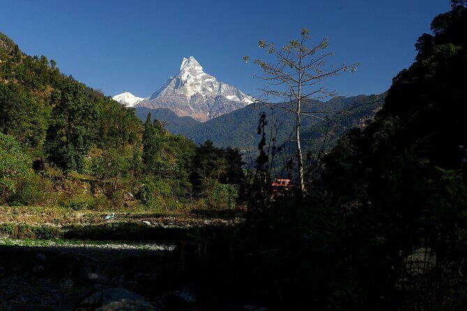 12-Day Nepal Adventure Trek with Jungle Safari - Practical Considerations
