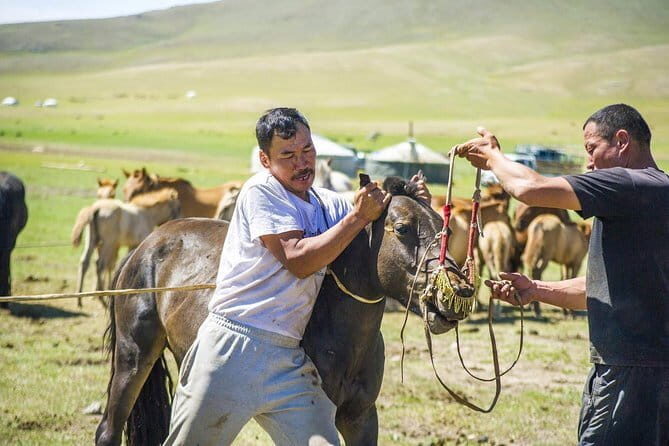12 Days Gobi Desert and Express Mongolia - What Travelers Are Saying