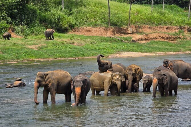 12 Days Tour Grand Discovery of Sri Lanka - A Detailed Breakdown of the Itinerary