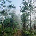 12 Hours Private Munnar Tour from Kochi - Lockhart Tea Factory: Behind the Scenes of Tea-Making