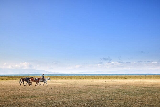 14 Day Epic Kyrgyzstan Trek in Tian Shan and Pamir Alay Mountains - The Practical Side