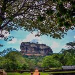 14-Day Private Tour in Sri Lanka - Transportation, Cost, and Overall Value