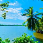 14 Days/ 13 Nights -Sri Lanka Tour on Culture, Wildlife & Beaches - The Value of the Tour and Who It’s For