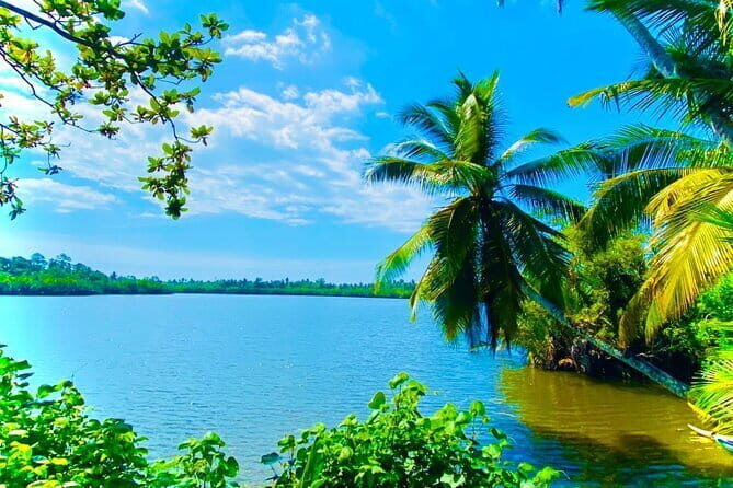 14 Days/ 13 Nights -Sri Lanka Tour on Culture, Wildlife & Beaches - The Value of the Tour and Who It’s For