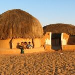 14 Days Rural Life in Rajasthan Tour - The Itinerary: What to Expect Each Day