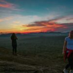 15-Day Tour in Sri Lanka with Private Driver - Breakdowns of the Itinerary: What to Expect