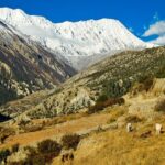 17 Days Adventurous Annapurna Tilicho Pass Trekking - Why This Trek Offers Great Value