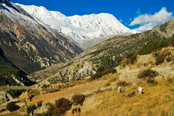 17 Days Adventurous Annapurna Tilicho Pass Trekking - Why This Trek Offers Great Value
