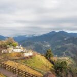 1D Tour to Cingjing Farm from Taichung - Authentic Experiences and Traveller Insights