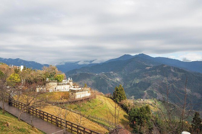 1D Tour to Cingjing Farm from Taichung - Authentic Experiences and Traveller Insights
