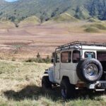 1Day - Bromo Non Sunrise Tour via Malang (to avoid crowd) - Who Should Consider This Tour?