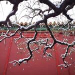 2-Day Beijing Sightseeing Highlights Combo Package with Lunch - Practical Aspects and What They Mean for You