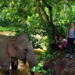 2-Day Kindred Spirit Elephant Sanctuary in Chiang Mai - Transportation and Practicalities