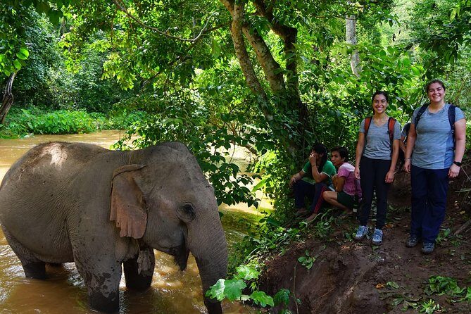2-Day Kindred Spirit Elephant Sanctuary in Chiang Mai - Transportation and Practicalities