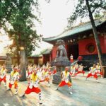 2-Day Luoyang Private Tour: Longmen Grottoes, White Horse Temple, Shaolin Temple - Who Would Enjoy This Tour?