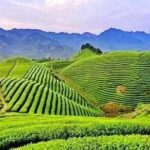 2-Day Mountain Wuyi Private Flexible Tour from Shanghai by Bullet Train - Authentic Experiences and Highlights: What Travelers Love