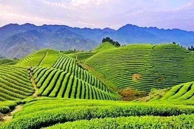 2-Day Mountain Wuyi Private Flexible Tour from Shanghai by Bullet Train - Authentic Experiences and Highlights: What Travelers Love