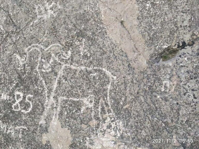 2-Day Nuratau Mountain Tour to Sentob Village from Bukhara. - Practical Details & Value