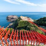 2-Day ONE WAY on Bus to Hiroshima via Yamaguchi from Fukuoka - An In-Depth Look at the Tour Experience