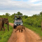2 Day Private Tour of Udawalawe wild Safari & Galle Sightseeing - All Inclusive - Authentic Experiences and Highlights