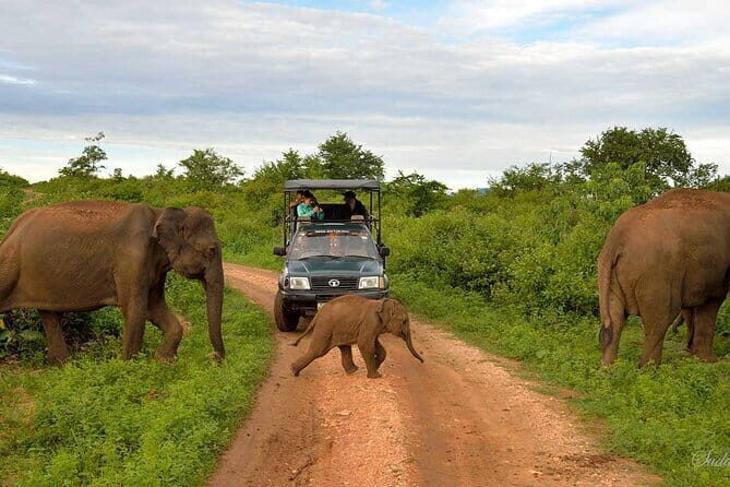 2 Day Private Tour of Udawalawe wild Safari & Galle Sightseeing - All Inclusive - Authentic Experiences and Highlights