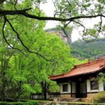 2-Day Private Tour to the World's natural and cultural heritage Mount Wuyi - Why This Tour Is a Good Deal