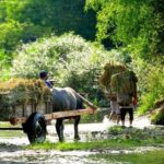 2-day Pu Luong Natural Reserve from Hanoi - An In-Depth Look at the Itinerary