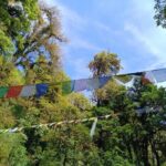 2-Day Sunrise Trek in Shivapuri Chisapani from Kathmandu - Who Is This Tour Best For?