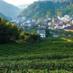 2-Day Suzhou and Hangzhou Private Flexible Tours from Shanghai by Bullet Train - Why This Tour Offers Great Value