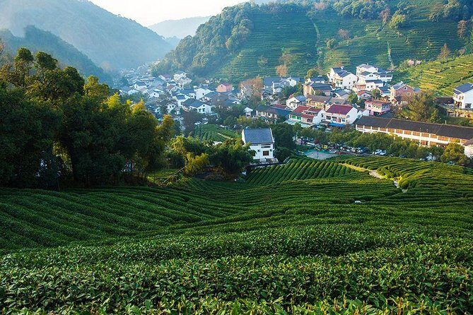 2-Day Suzhou and Hangzhou Private Flexible Tours from Shanghai by Bullet Train - Why This Tour Offers Great Value