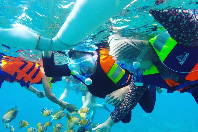 2 day tour and snorkel to meet Manta Rays in Nusa Penida - Who should consider this tour?