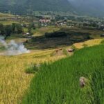 2 Day Trekking Experience: Explore with knowledgeable local guide - Potential Drawbacks and Considerations