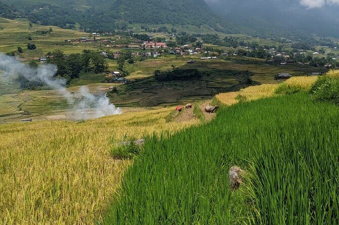 2 Day Trekking Experience: Explore with knowledgeable local guide - Potential Drawbacks and Considerations