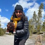 2 Day Yellowstone Safari Upper and Lower Loop Bozeman - An In-Depth Look at the Tour Experience