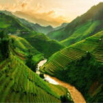 2 days 1 night Sapa trekking at 4 star hotel - Survey of the Experience: What Travelers Can Expect