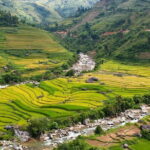 2 days 1 night Sapa trekking group tour at homestay - What Travelers Say