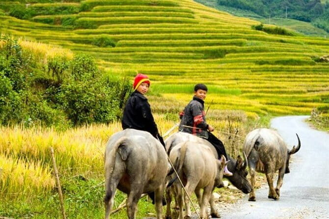 2 Days 1 Night Sapa Trekking With 4 Star Hotel Stay - Is It Worth the Price?
