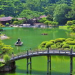 2 Days BONSAI Experience in Kagawa - Who Would Appreciate This Tour?