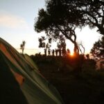 2 Days - Bromo Camping // 14.00 - 13.00 - A Detailed Journey into Mount Bromo