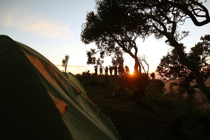 2 Days - Bromo Camping // 14.00 - 13.00 - A Detailed Journey into Mount Bromo